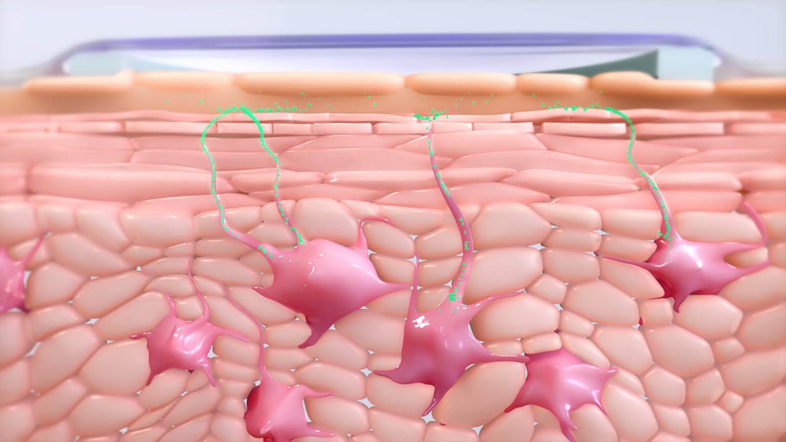 Viaskin Platform | DBV Technologies